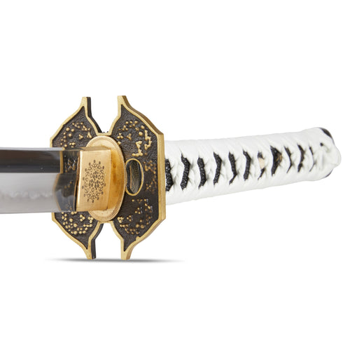 Isao Machii | A Modern-Day Samurai | Swords of Northshire